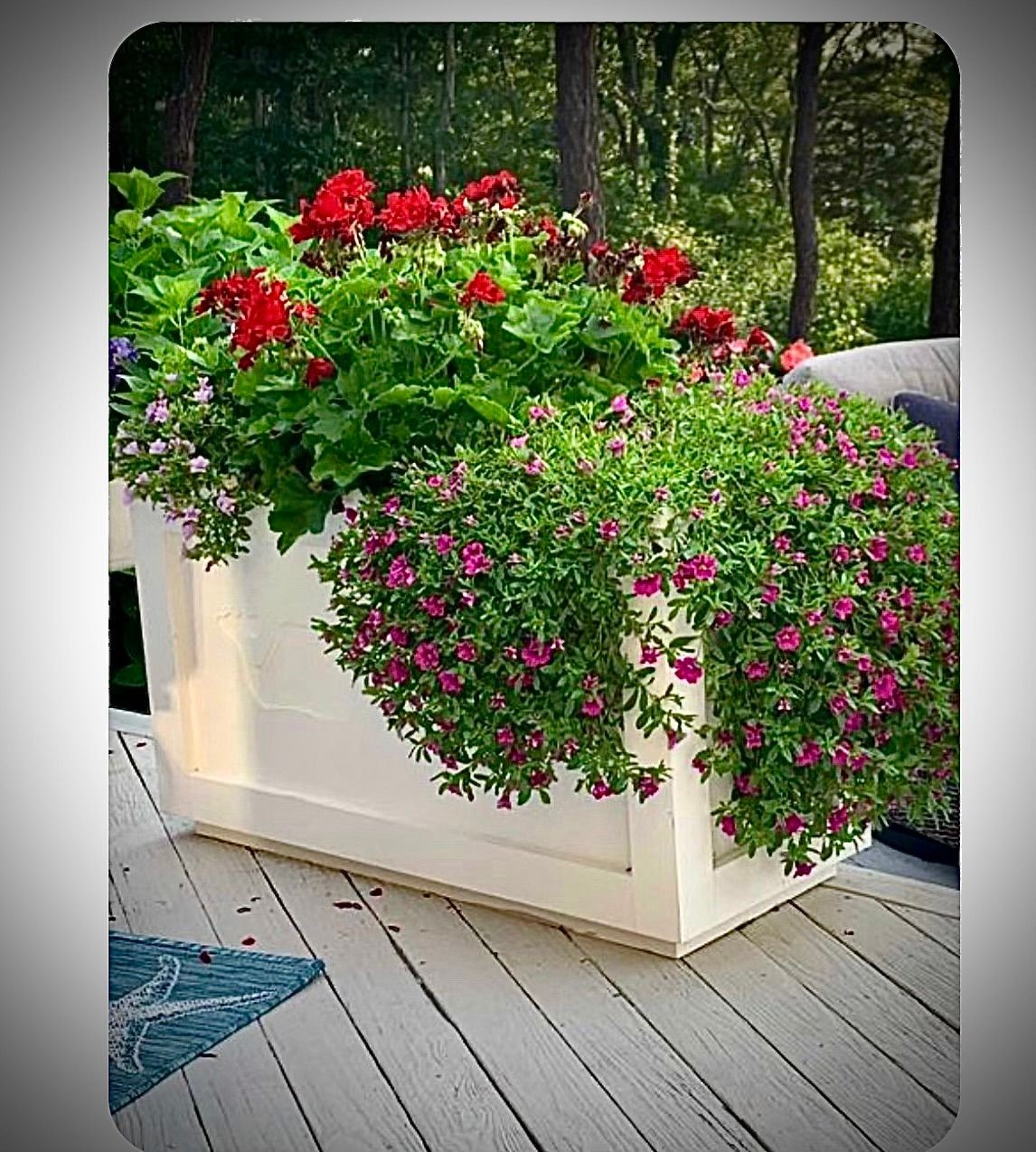 Enhance Your Home with Cape Cod Custom Flower Boxes
